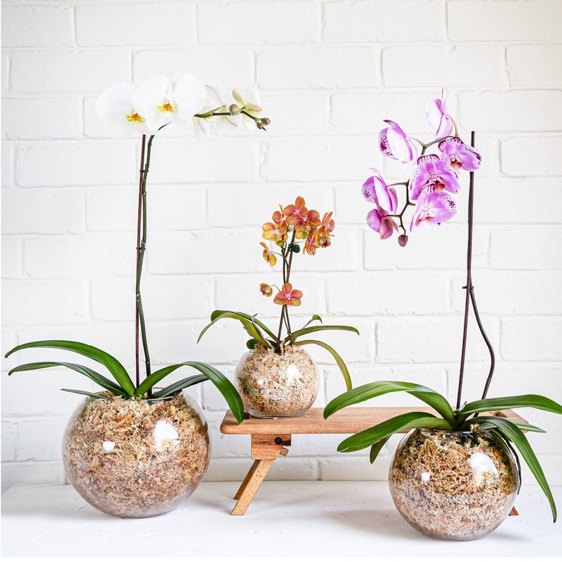 Shop - Worood Weddings